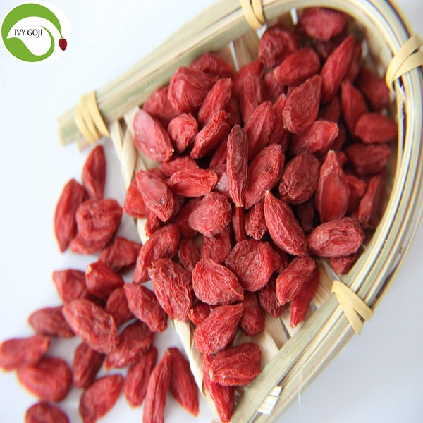 Nutrition Dried Organic Wolfberry